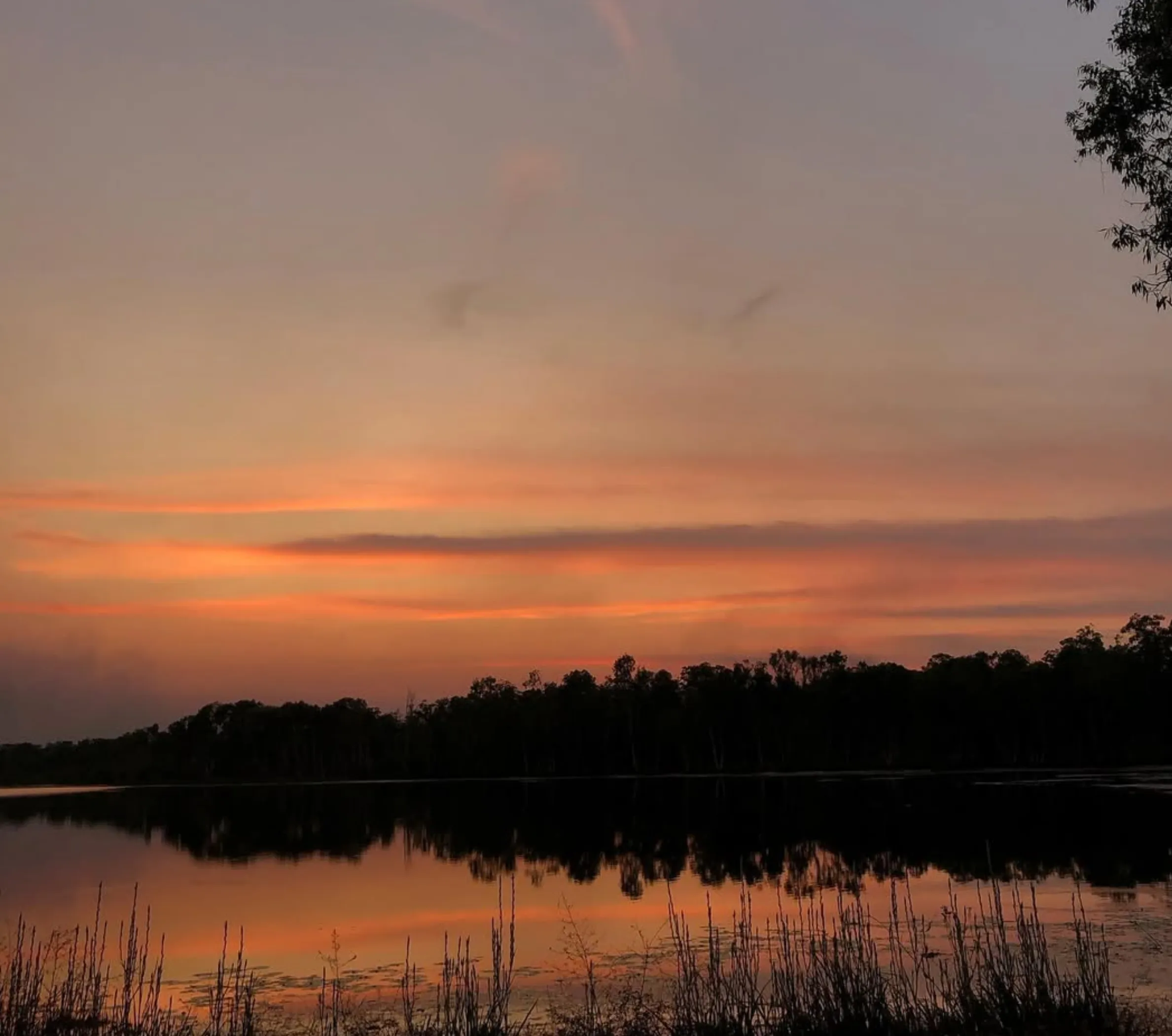 Is Kakadu a City? Location & Travel Guide